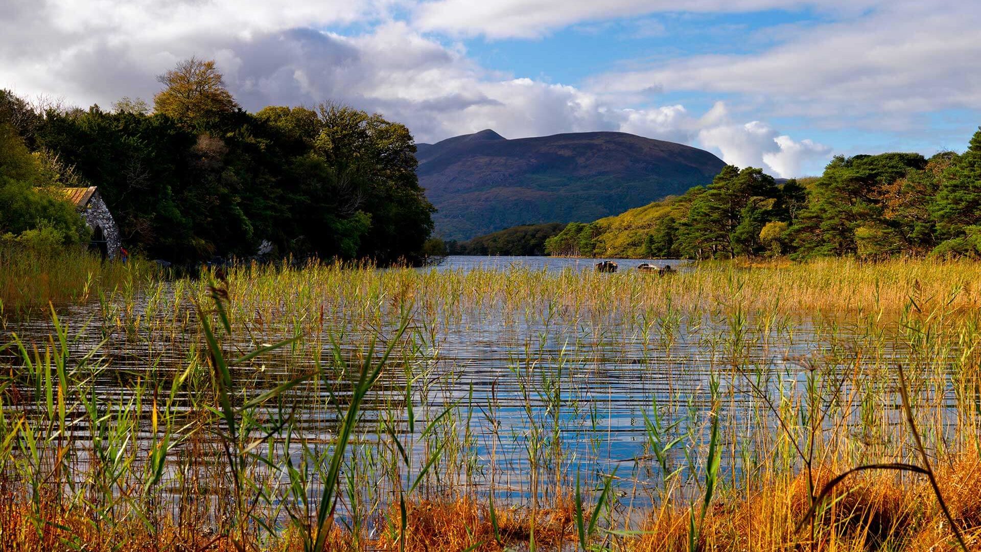 Things To See & Do in Killarney | Luxury Hotel Killarney