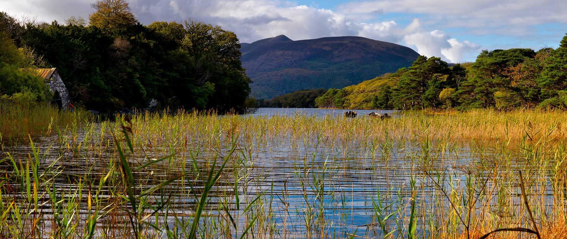 Things To See & Do in Killarney | Luxury Hotel Killarney