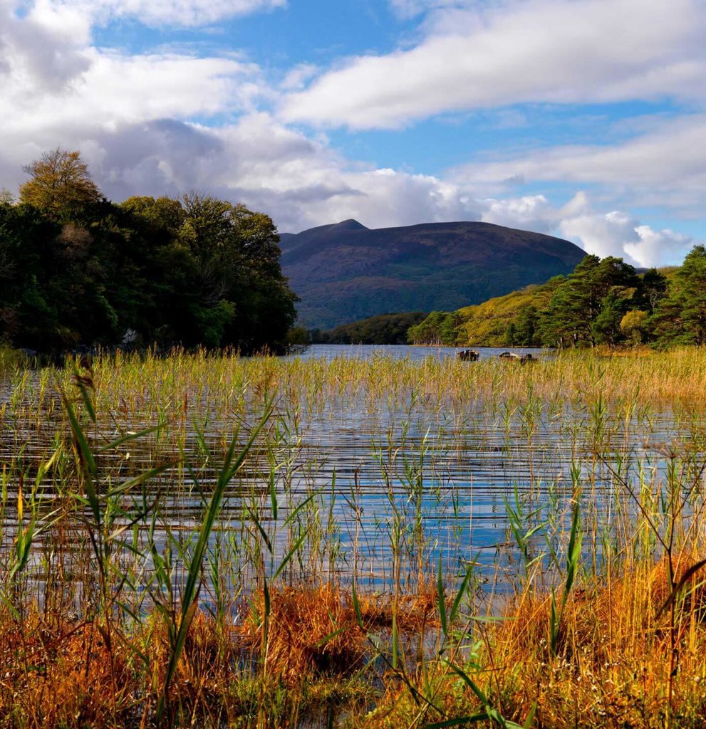 Things To See & Do in Killarney | Luxury Hotel Killarney