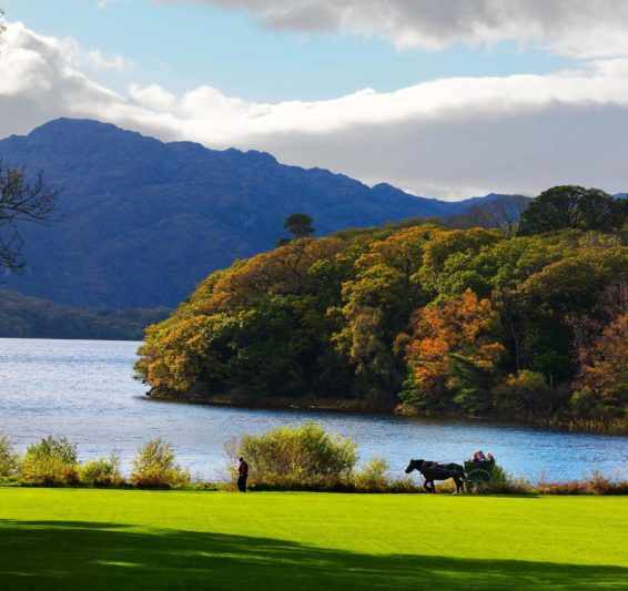 Family Holidays Activities in Killarney | Hotel Killarney