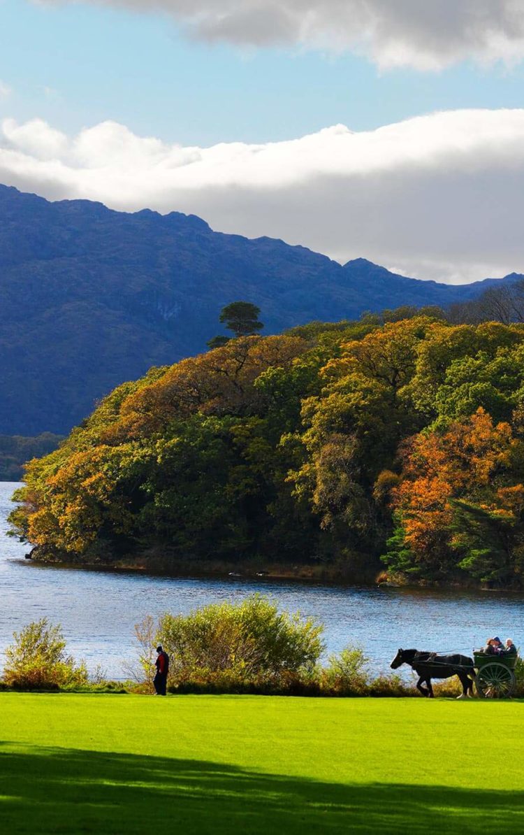 Family Holidays Activities in Killarney | Hotel Killarney
