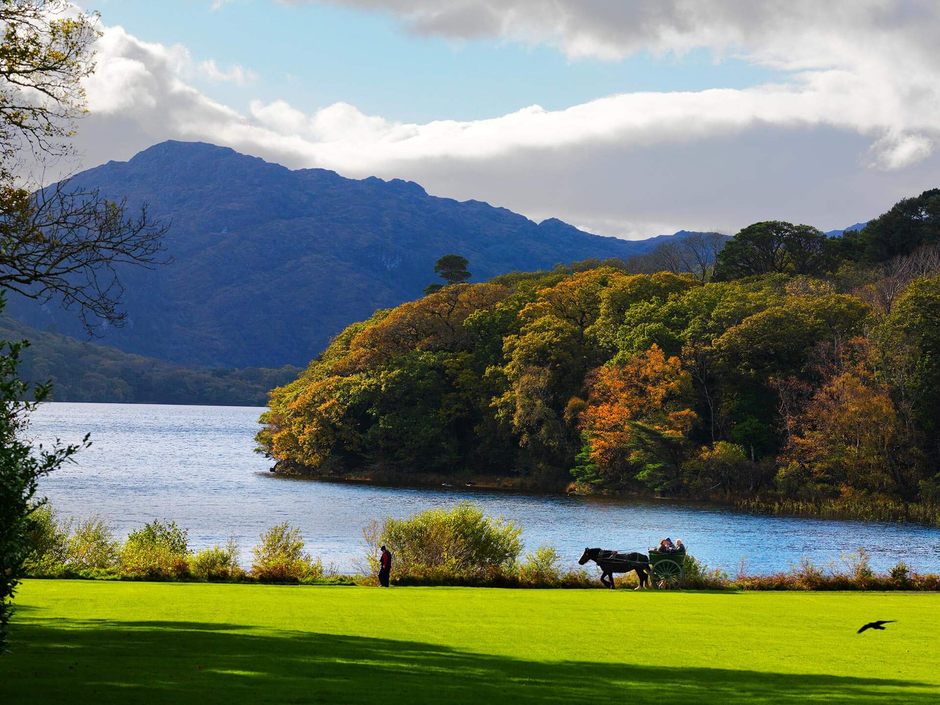 Killarney Events | Things To Do in Killarney | Hotel Killarney